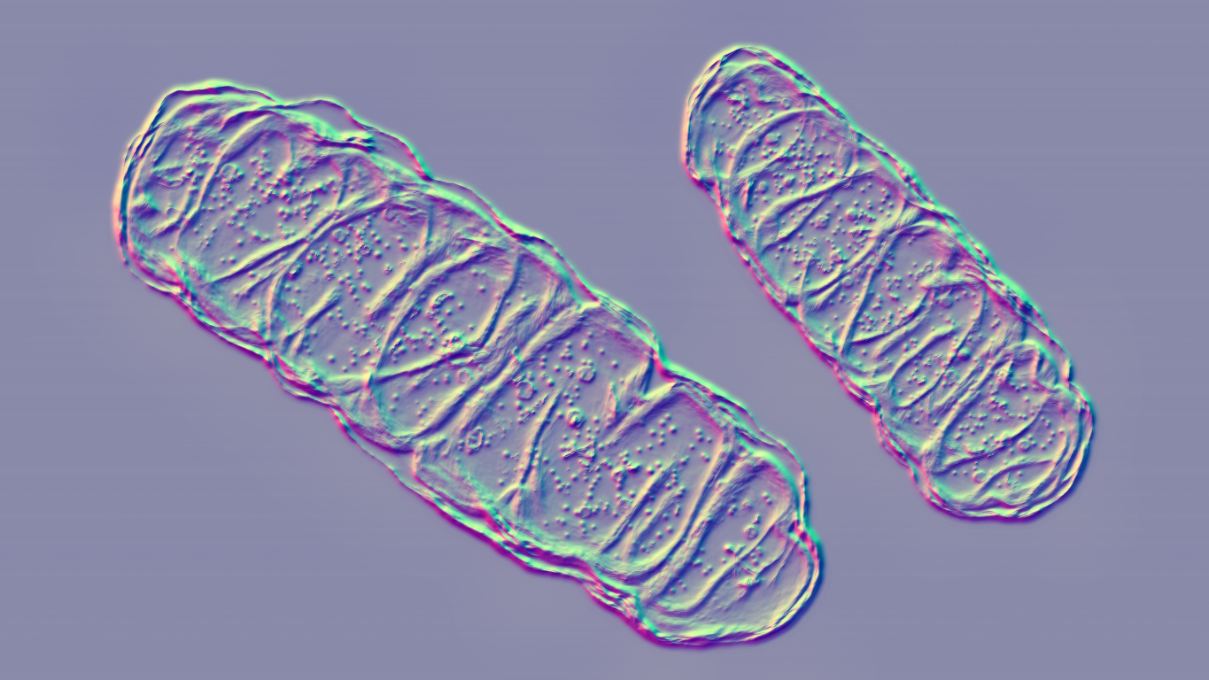 Eat Less, Live Longer? Insights into the Geroprotective Effects of ...